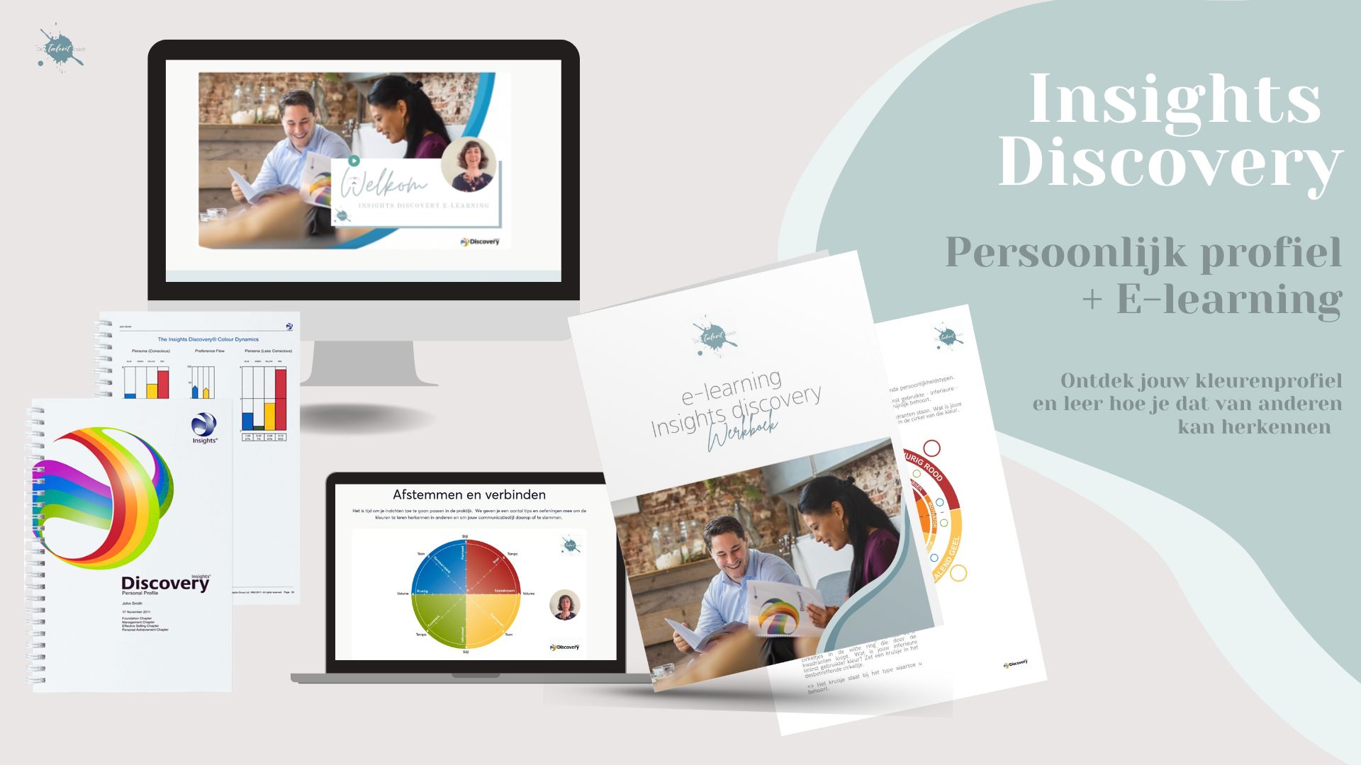 Insights Discovery profiel individueel traject