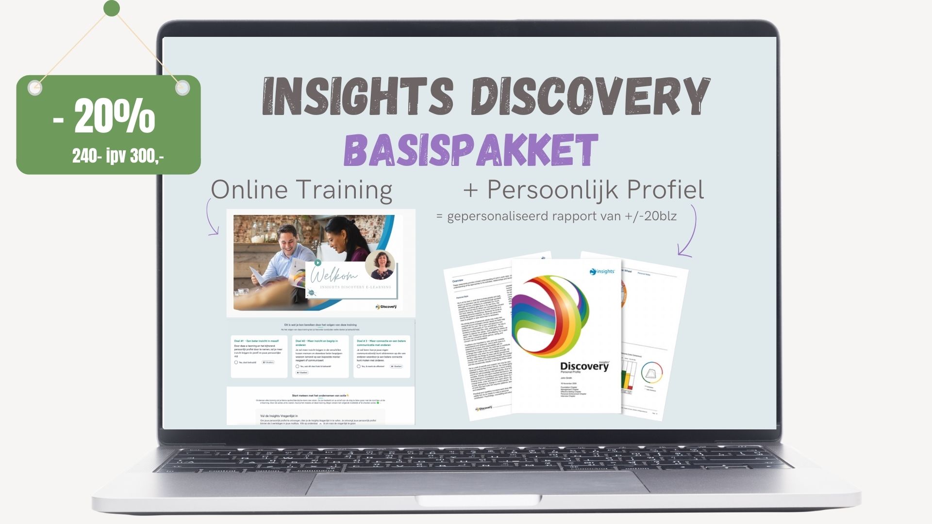 Insights Discovery profiel individueel traject